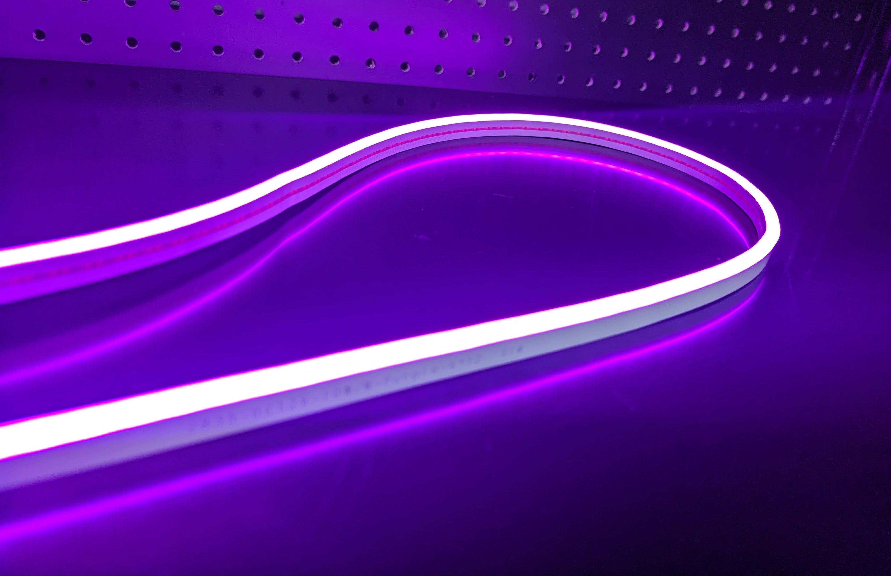 LED NEON FLEX 12V, 16x8mm, Purple – Neon Flex Studio